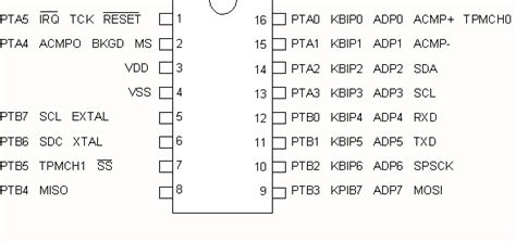 D Lab Manual Chapter