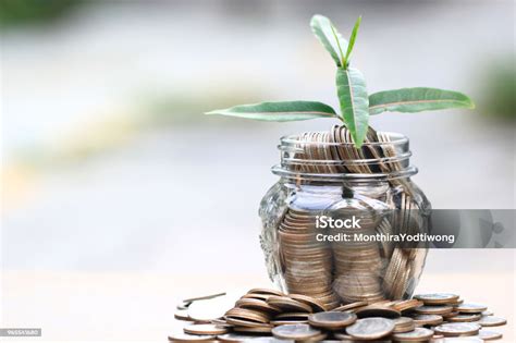 녹색 배경 투자 및 비즈니스 개념에 유리병에 동전 돈에 성장 하는 식물 개념에 대한 스톡 사진 및 기타 이미지 개념 경제 금융 Istock