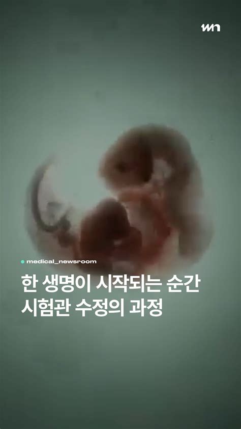 메디컬뉴스룸 Medicalnewsroom 청와대 5월 1일부터 밤마실 야간 개장빛과 음악의 특별한 밤 오는 5월 1일부터 6일까지 청와대가 일반 시민을 위한