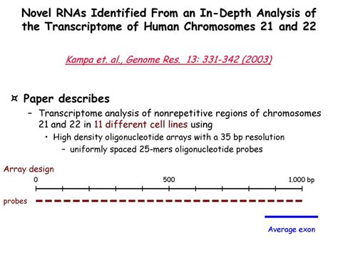 Genome Biology And Biotechnology Ppt Download