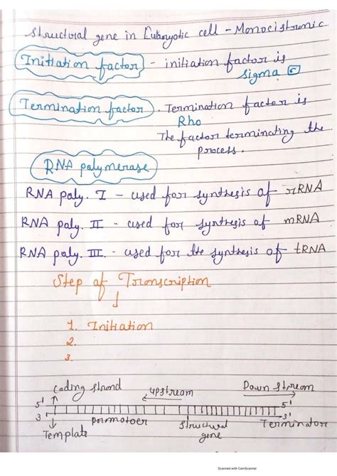 Transcription Pdf