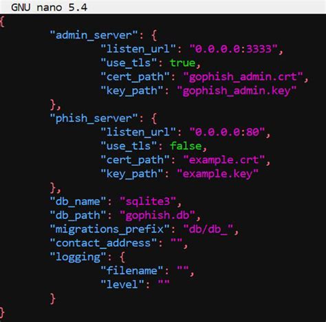 46 Kali Linux для продвинутого тестирования на проникновение Фишинг