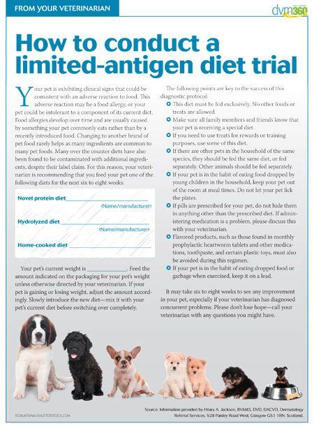Client Handout How To Conduct A Limited Antigen Diet Trial