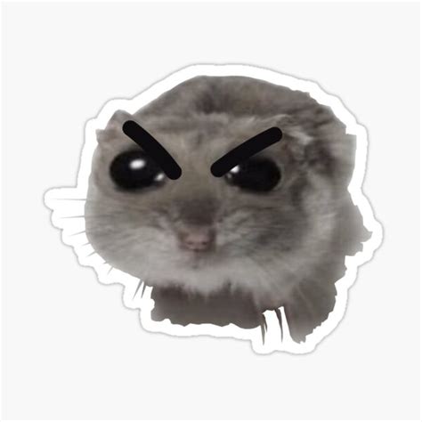 Angry Coquette Hamster Funny Meme Big Eye Eyes Eyed Mouse Sticker