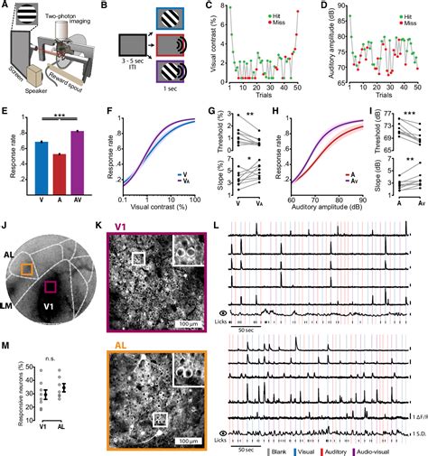 Figure 1 From Neural Correlates Of Multisensory Detection Behavior Comparison Of Primary And
