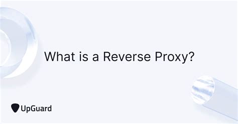 What Is A Reverse Proxy Server Learn How They Protect You Upguard