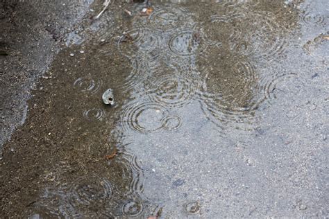 雨の日を活かした写真を撮ろう 写真撮影 All About