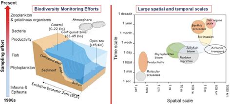 The Scales Of Spatial And Temporal Trends And The Evolution Of Download Scientific Diagram