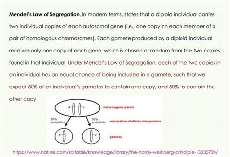 Population Genetics Basic Concepts Pdf