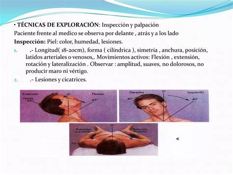Exploracion Semiologica De Cuello Gangkios Linfaticos Presion
