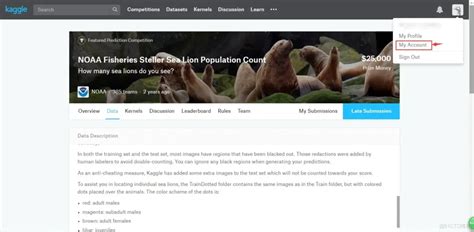 Kaggle安装python库 怎么在kaggle上下载数据mob64ca13f7ecc9的技术博客51cto博客