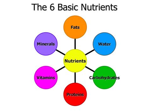 Nutrition Ppt Download