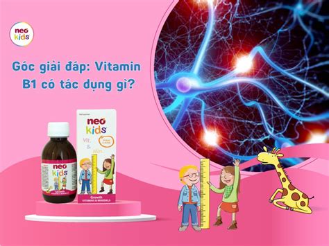 Góc Giải đáp Vitamin B1 Có Tác Dụng Gì