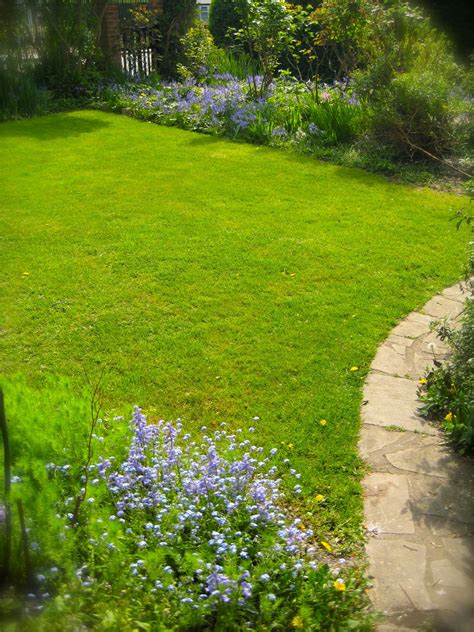 How To Create A Perfect Lawn Living With The Moon