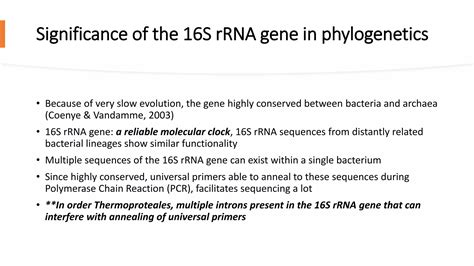 16 S Rrna Gene Sequencing For Bacterial Identification Pptx