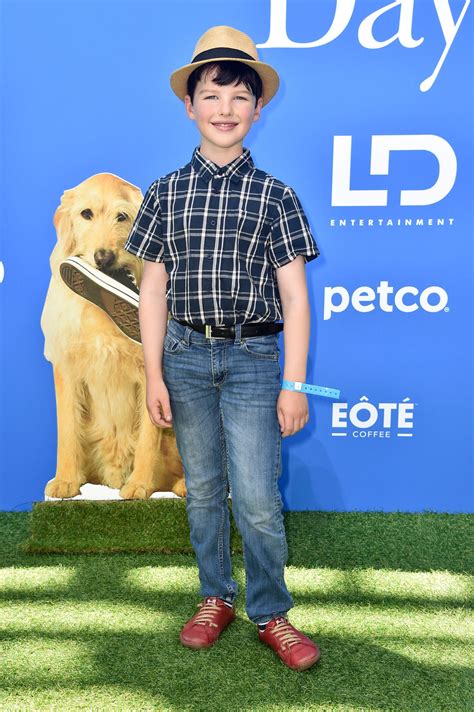Iain Armitage Net Worth Wiki Age Weight And Height Relationships