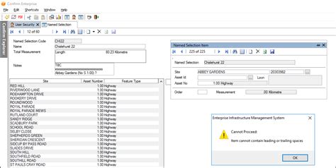 Item Cannot Contain Leading Or Trailing Spaces Error When Saving A