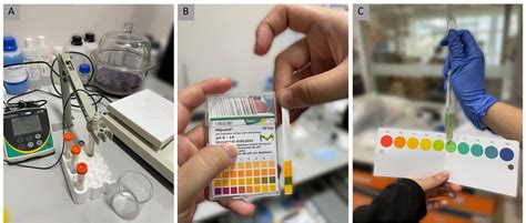 Accuracy Of Ph Strip Testing And Ph Liquid Testing Versus Standard Ph Meter Of Gastric Contents