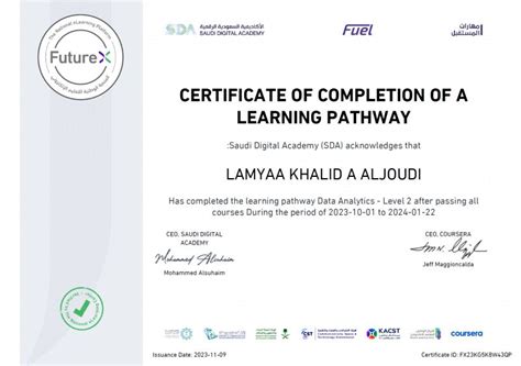 lamia k aljoudi on linkedin dataanalysis sql datavisualization
