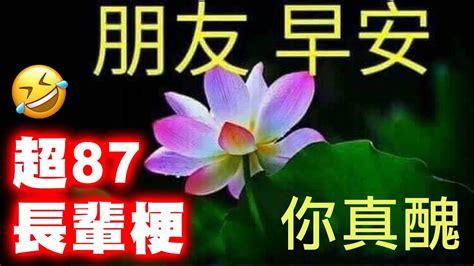 讓長輩腦中風的長輩圖超爆笑群組梗圖 16 YouTube