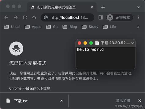 关于 中的 content disposition csdn博客