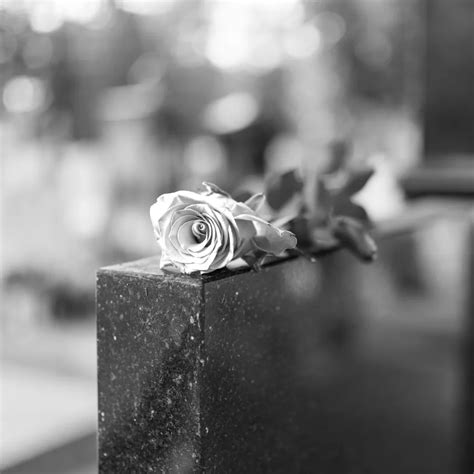 Headstone Examples ~ Piddingtons