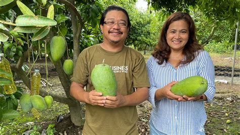 Giant Best Tasting Mango In The World Youtube