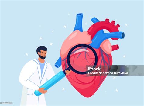 심장학 심장 건강과 심혈관 압력을 확인하십시오 돋보기와 인간의 장기를 연구 하는 심장 전문의 순환 계통 합병증 허혈성 심혼 관상 동맥 질병 심장에 대한 스톡 벡터 아트 및