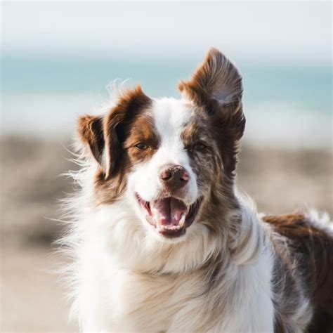 Python 파이썬 제곱 연산자 파이썬에서 거듭제곱 계산 방법