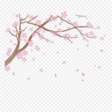 PNG梅花植物花瓣PNG图片素材下载 图片编号qwdzawvy 免抠素材网