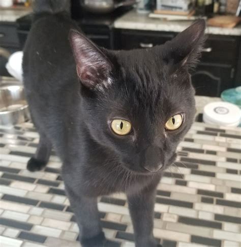 Python How To Use Sci Kit Learn Reconstructfrompatches2d Stack Overflow