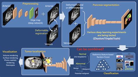 Gastrointestinal Learning Modules Ct Scanning