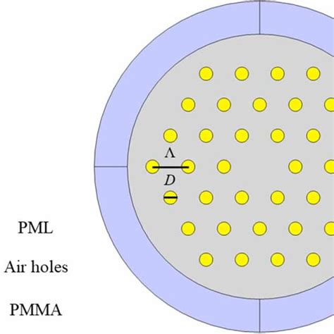 Schematic Illustration Of The Microstructured Polymer Fiber The Download Scientific Diagram