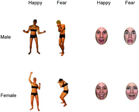 Examples Of Face And Body Stimuli In Experiment 2 Stimuli Included Download Scientific Diagram