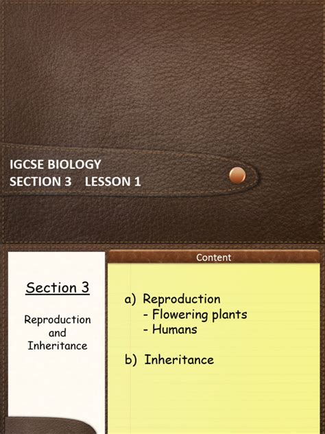 Igcse Biology Section 3 Lesson 1 Pdf Flowers Sexual Reproduction