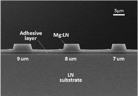Sem Cross Sectional Photograph Of 9 8 And 7 μm Wide Waveguides An Download Scientific Diagram