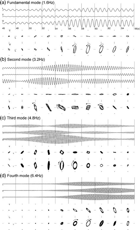Particle Motion Diagrams For The Fundamental And Higher Modes Of An
