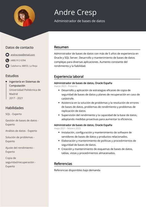 Curriculum Administrador De Base De Datos • Armá Tu Cv
