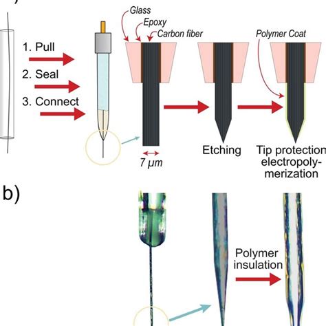 Schematic Representative Of The Scanning Electrochemical Microscope Secm Download