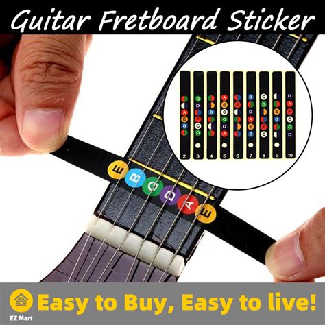 Acoustic Guitar Strings Labeled