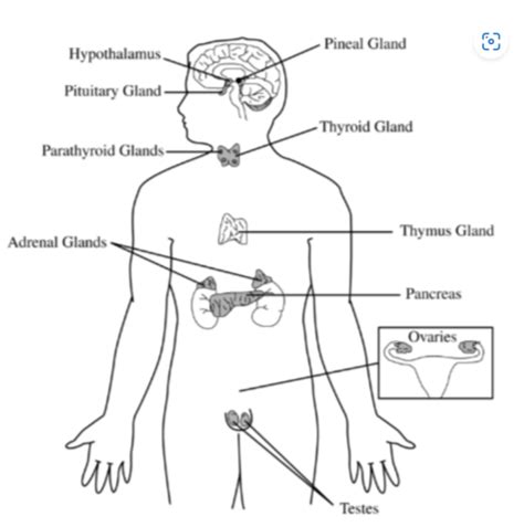 Ap Psych Unit Ap Classroom Questions Flashcards Quizlet