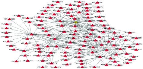 Disease Pathway Heterogeneous Network Download Scientific Diagram