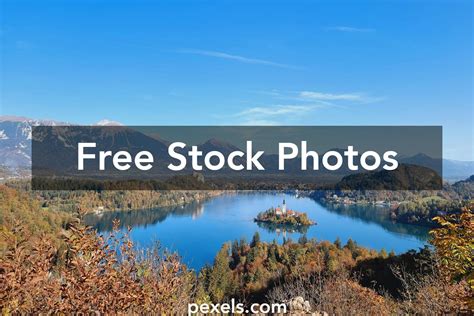 Proteus Anguinus Photos Download The Best Free Proteus Anguinus Stock