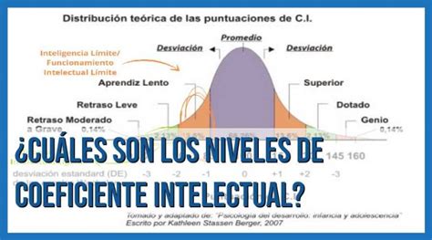 Descubre Los Niveles De Coeficiente Intelectual Todo Lo Que Necesitas Saber