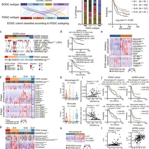 The Application Of Fdgc Subtyping Algorithm In Multiple Independent Download Scientific Diagram