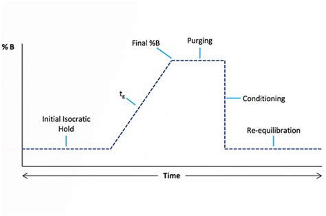 Gradient Hplc 10 Things You Absolutely Need To Know Chromacademy Gradient Hplc 10 Things You Absolutely Need To Know Chromacademy