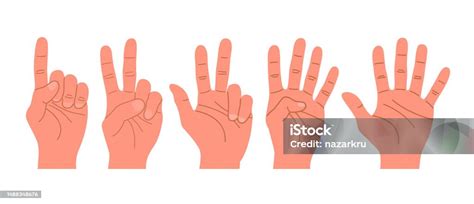 손가락 제스처를 가진 손의 집합입니다 인간의 손은 손가락 하나 둘 셋 넷 다섯으로 센다 흰색 배경에 분리된 평면 벡터 그림입니다 손가락에 대한 스톡 벡터 아트 및 기타