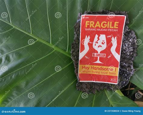 Packaging Label Sticker Indicating Fragile Item That Should Be Handle With Care Written In