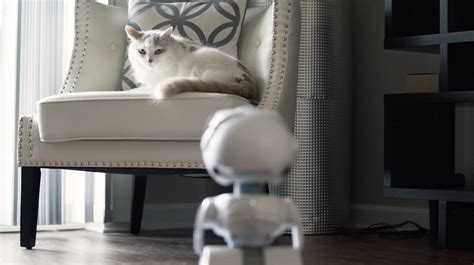 Misty Robotics Home Facebook