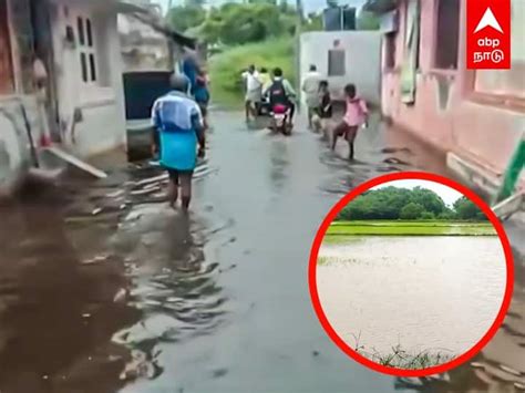 Tamil Nadu Rain Detailed Report Of Heavy Rain In Thiruvarur Watch Video